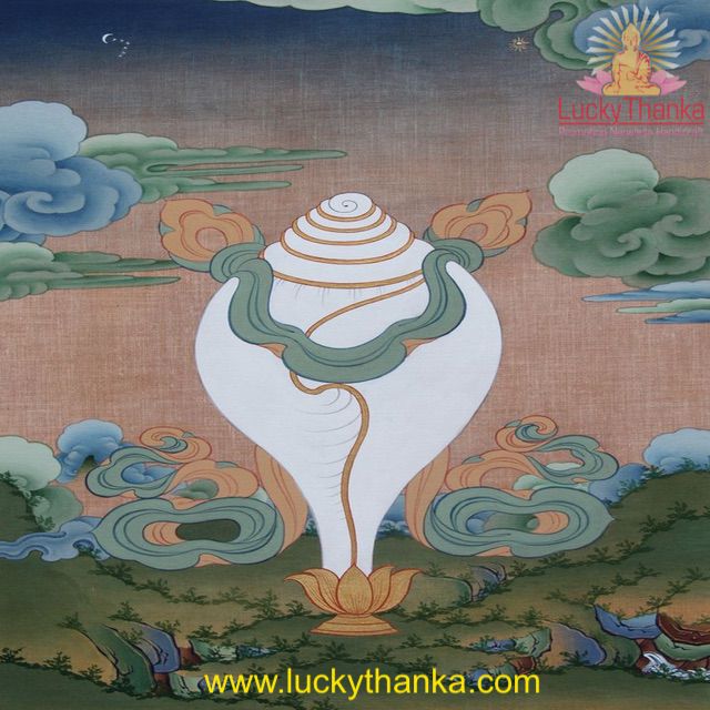 White Konch Shell – Lucky Thanka