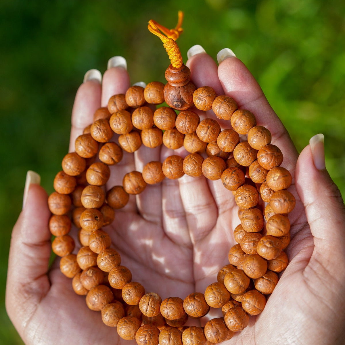 108 Bodhi Beads From Nepal - Mala Shop – Lucky Thanka